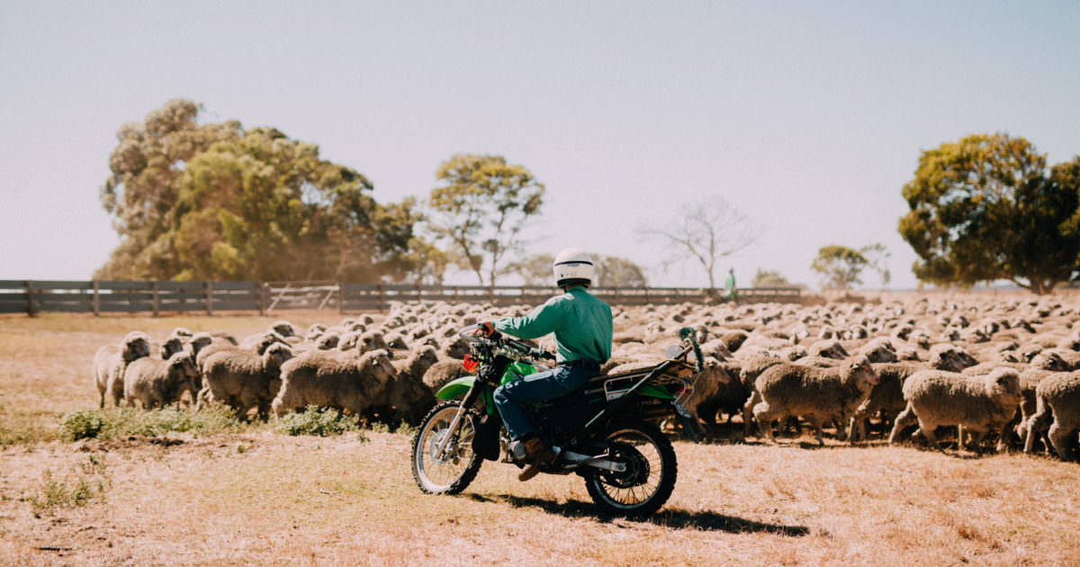 AJ & PA McBride | Yunta Picnic Races